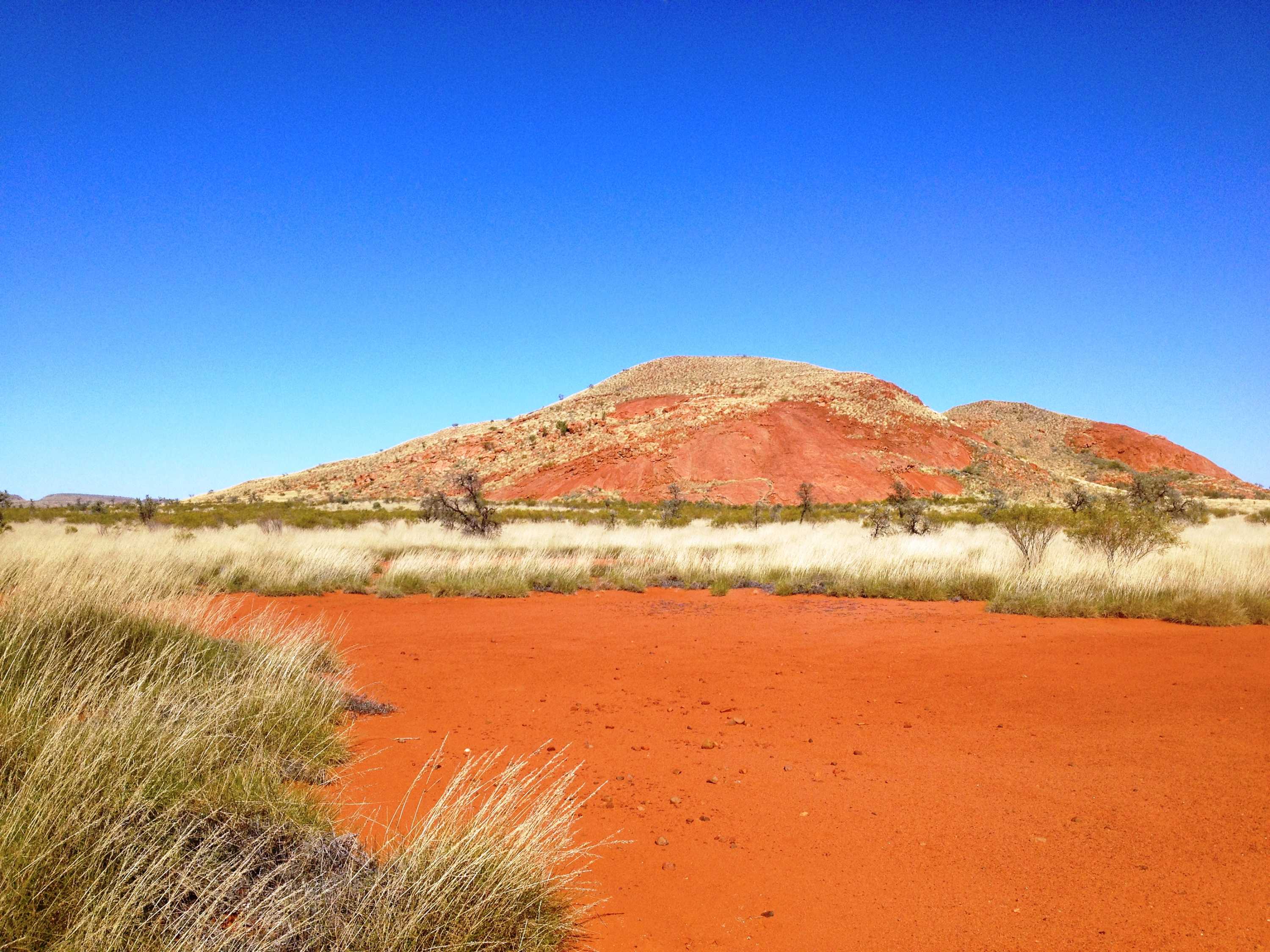 Biosecurity group calls for rangelands levy to fund care of outback ...