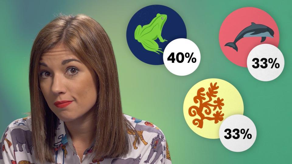 BTN: What is a mass extinction? - ABC Education