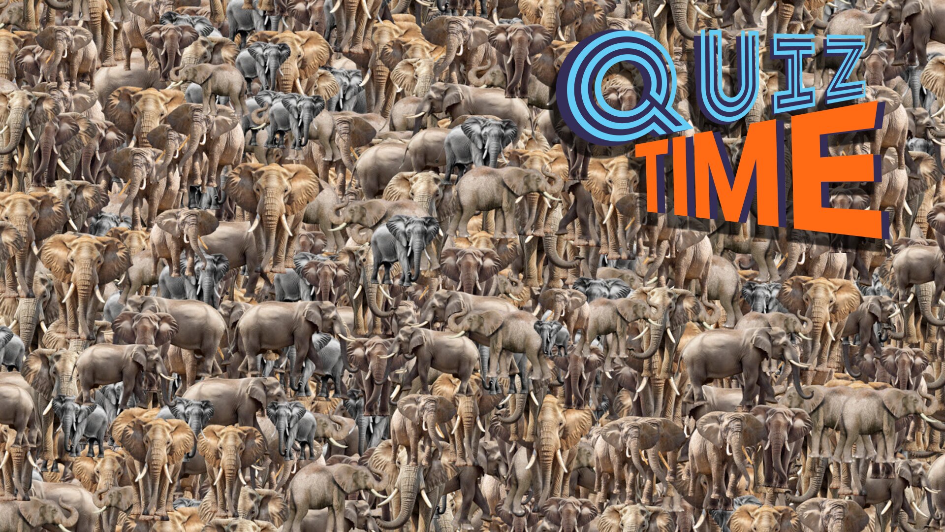 BTN Quiz Ep 23, 2023 - Behind The News