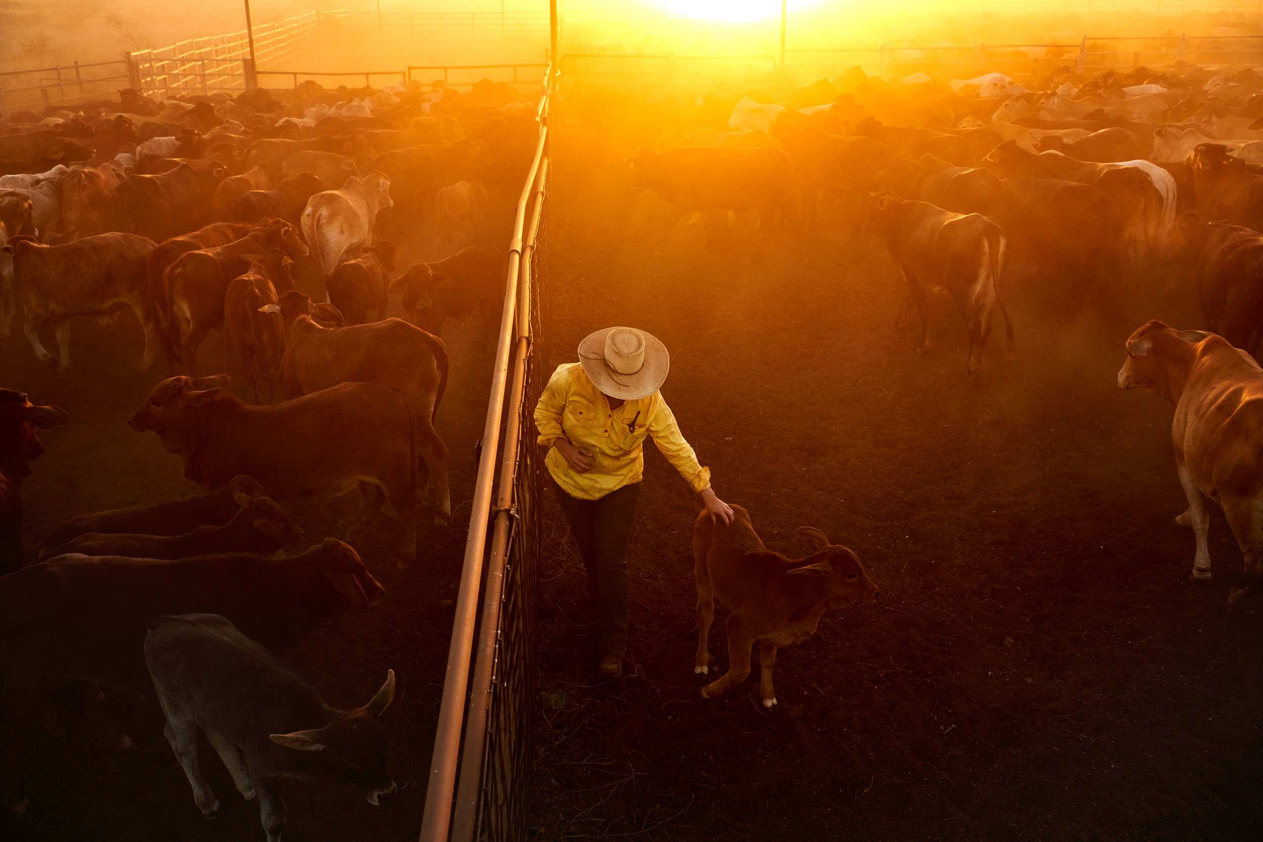 Not a farmer's wife - ABC News