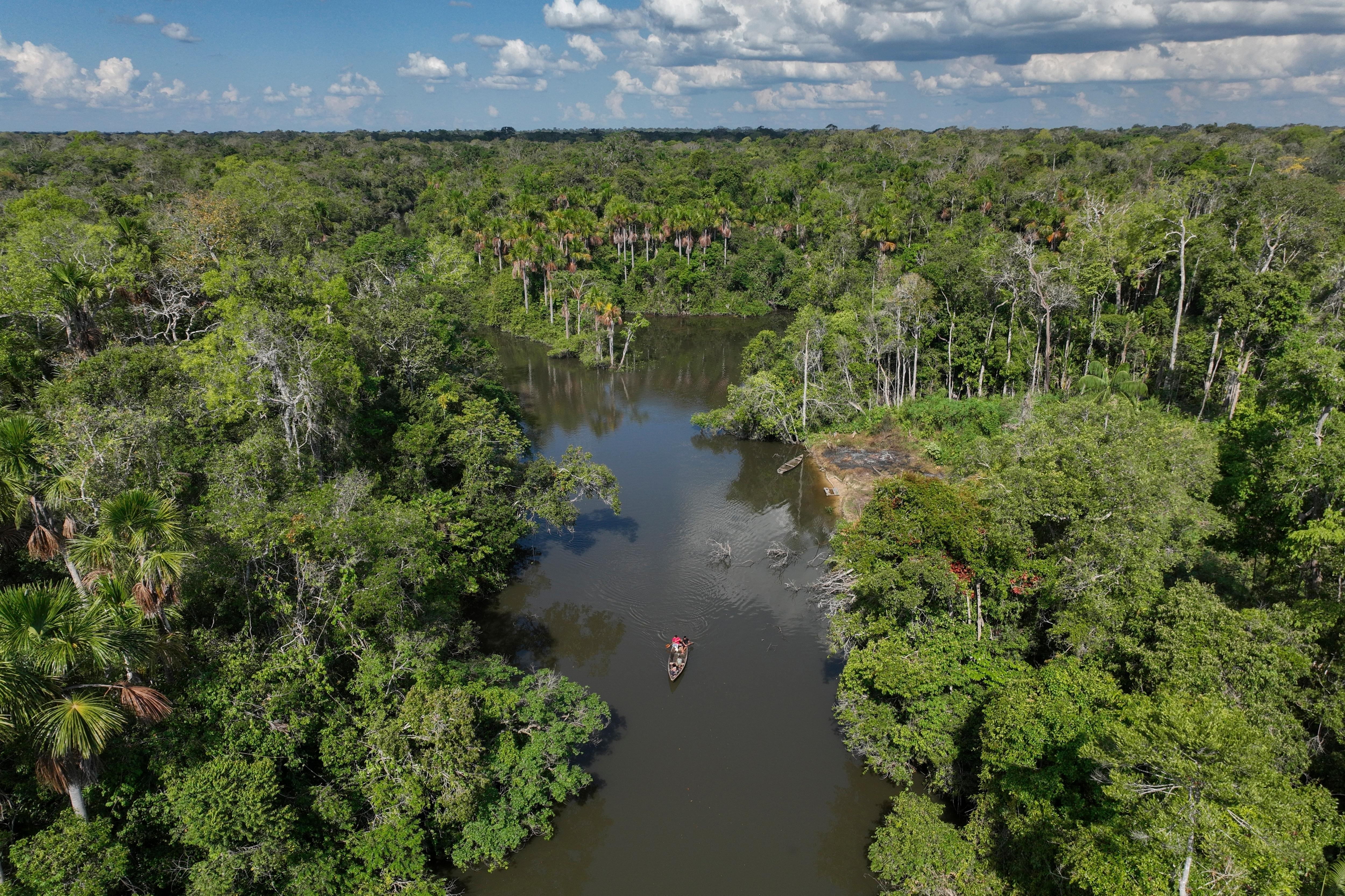 Amazon Indigenous leader succeeds in passing law granting personhood to ...