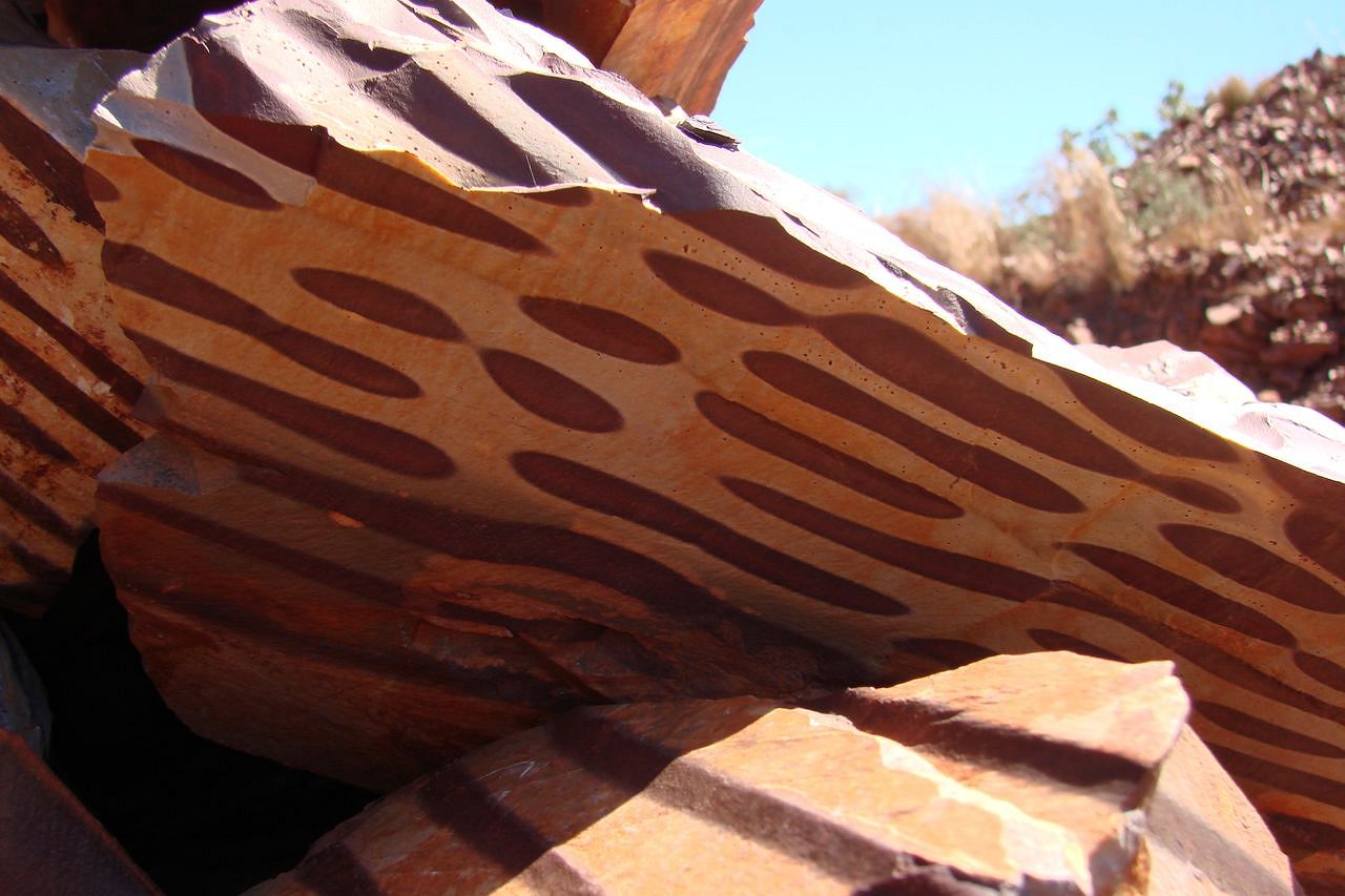 Mining company chooses to protect rare deposit of zebra rock rather ...