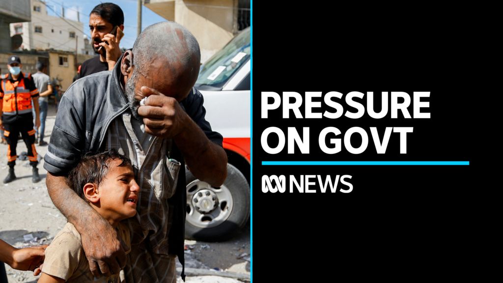 Calls for Govt to help alleviate humanitarian disaster in Gaza - ABC News