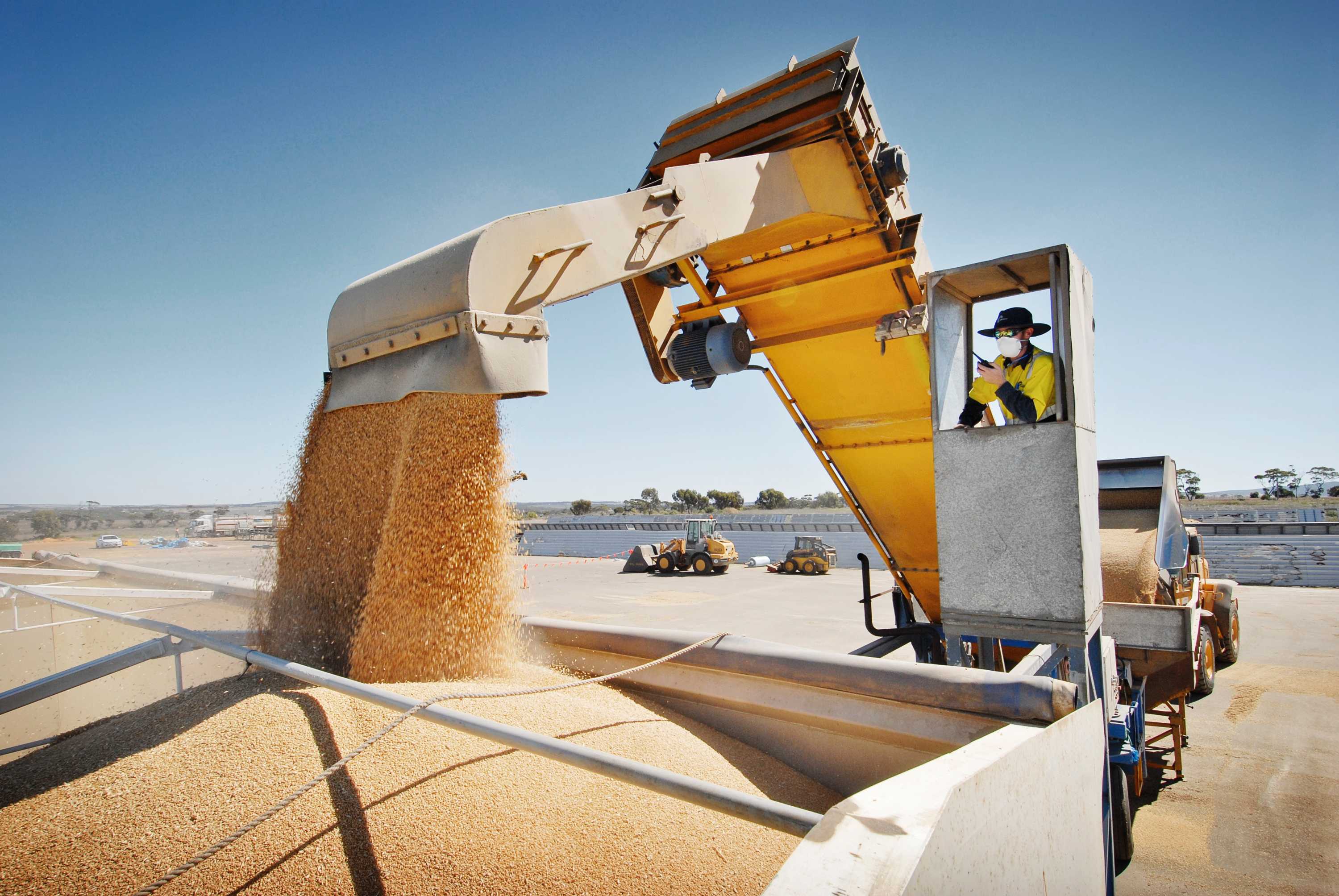 Western Australia on target for 13 million tonne grain harvest after ...