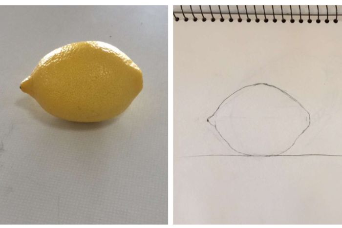 Highlights: Eddie's drawing lesson - ABC listen