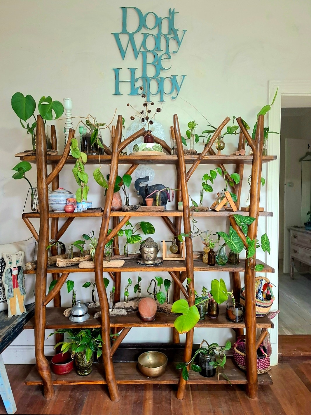 Talkback Gardening 'Indoor Jungle' Photo Comp Winners - ABC listen