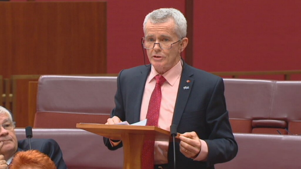 One Nation senator Malcolm Roberts says his case stronger than rest of ...