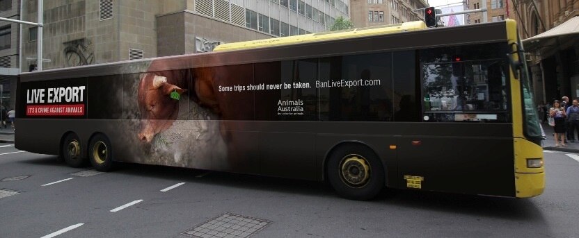 SA Transport Minister 'took sides' in Animals Australia anti-live ...