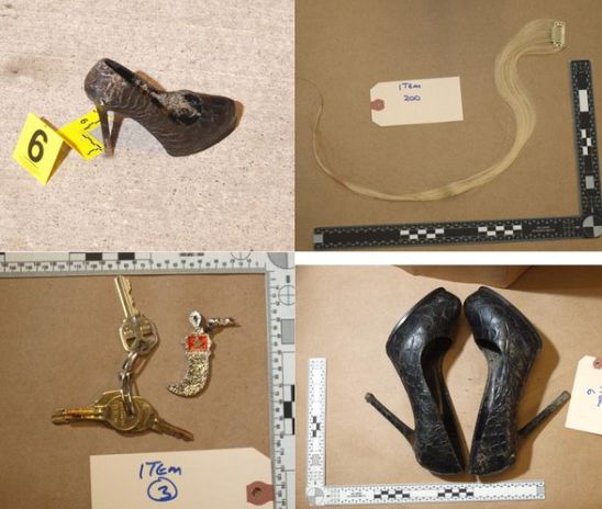 Serial-inspired social media campaign cracks Mike Pimentel murder case ...