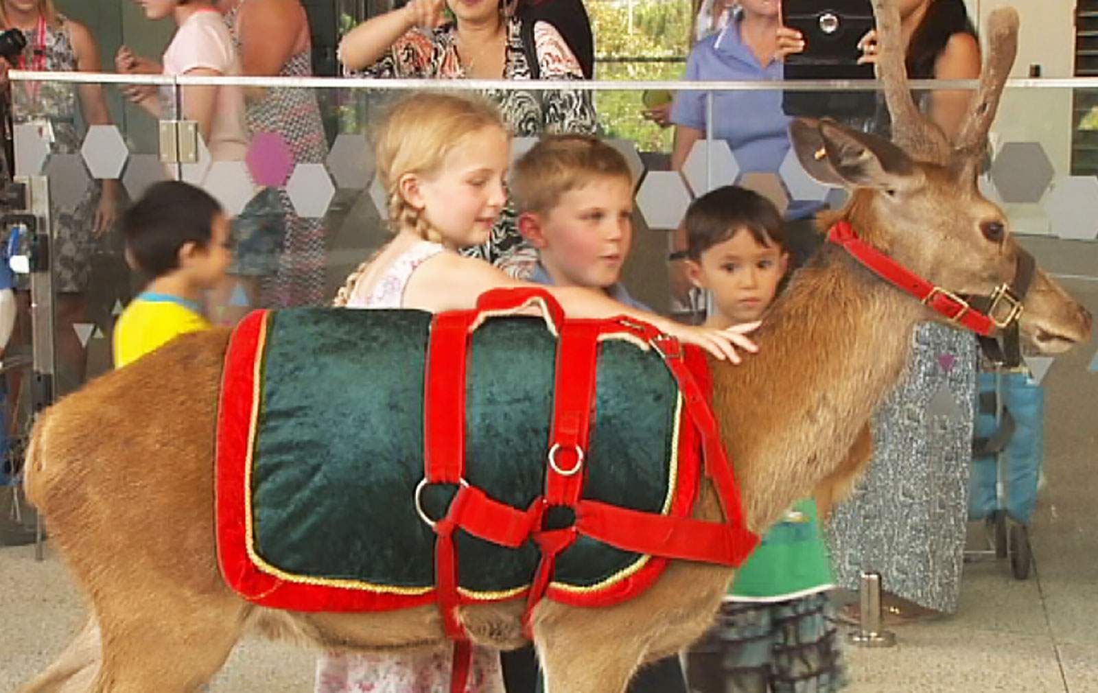 Santa online: Kids in Brisbane children's hospital relay Christmas ...
