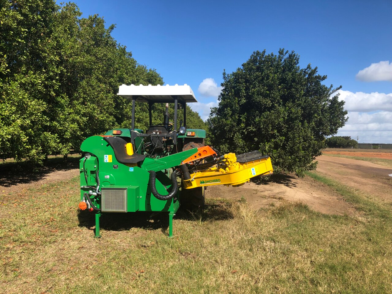 Mechanical tree shakers controlling macadamia husk spot disease - ABC News
