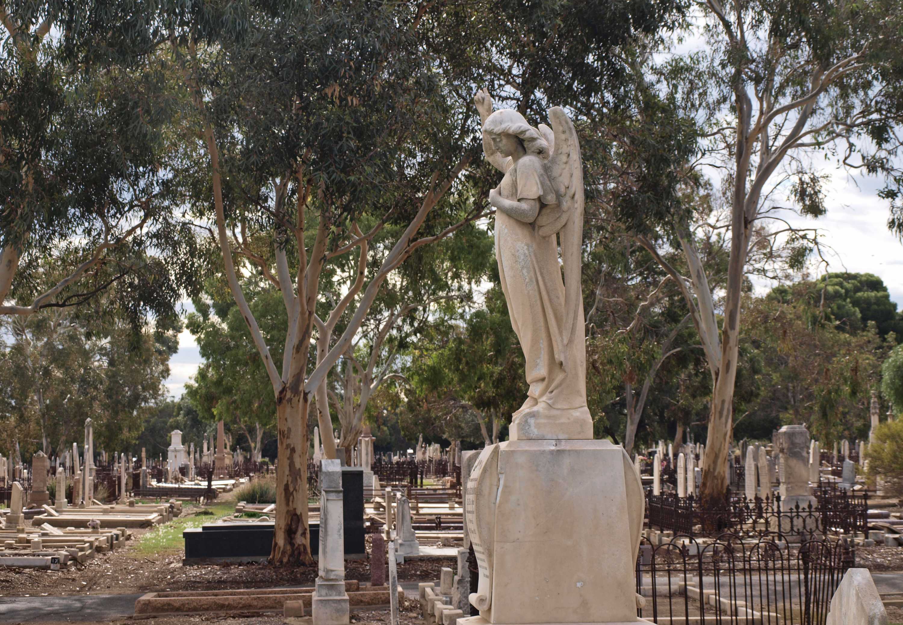 New burial options being considered at Adelaide's Centennial Park ...