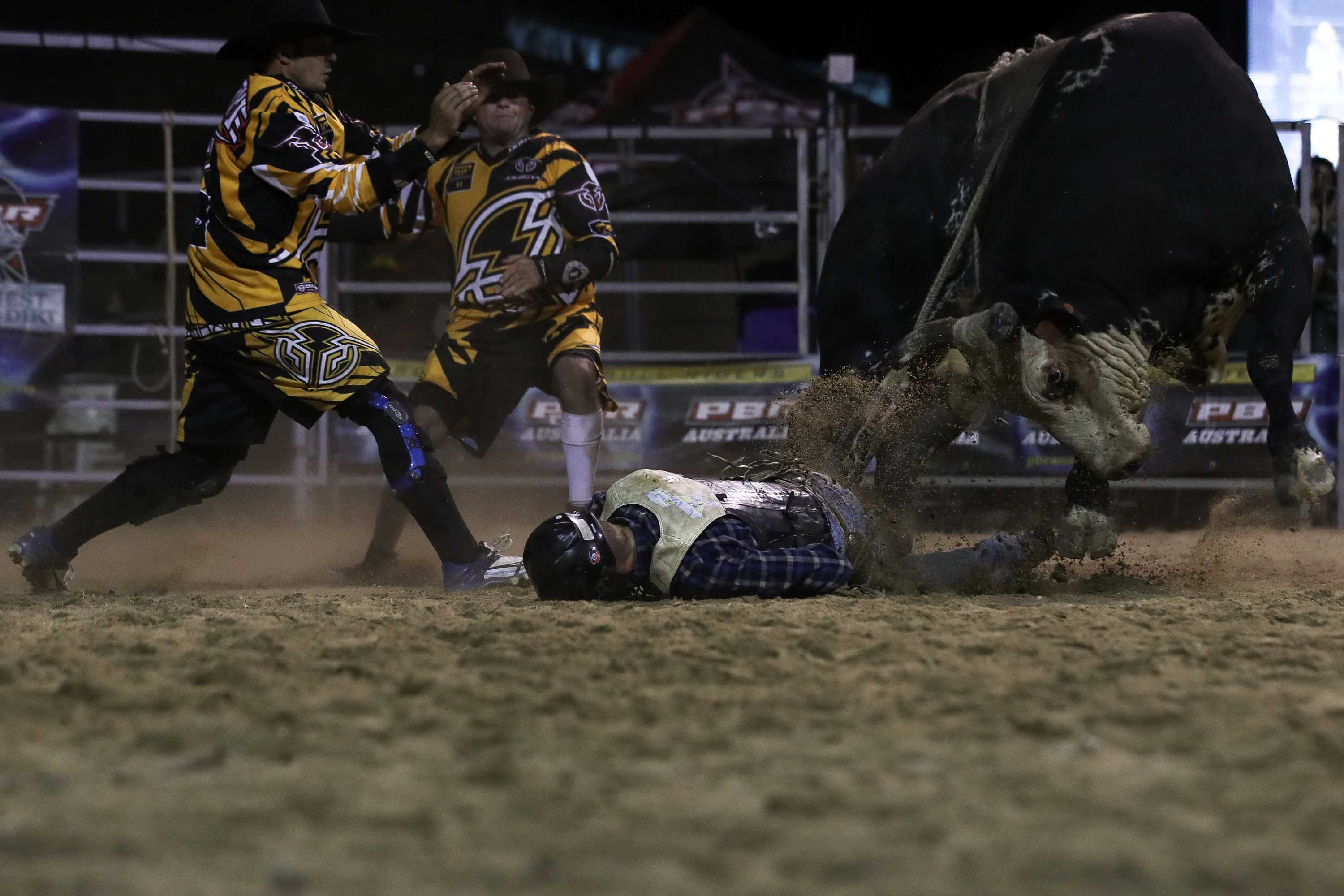 Riding them hard: The young rodeo stars risking all for the win - triple j