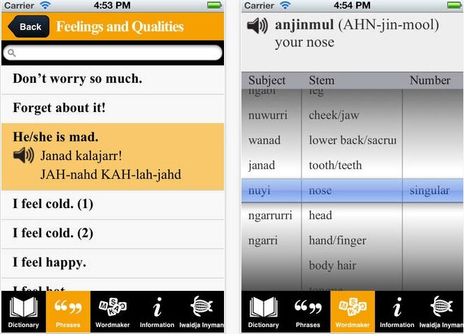 Smartphone apps used to save endangered Indigenous languages - ABC News