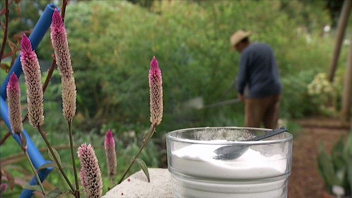 The Power of Potassium - Gardening Australia
