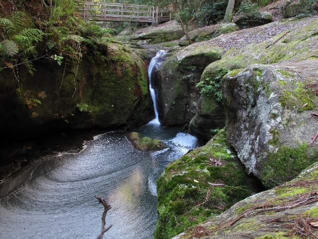 Teen falls 80m down escarpment in Watagans National Park, near ...