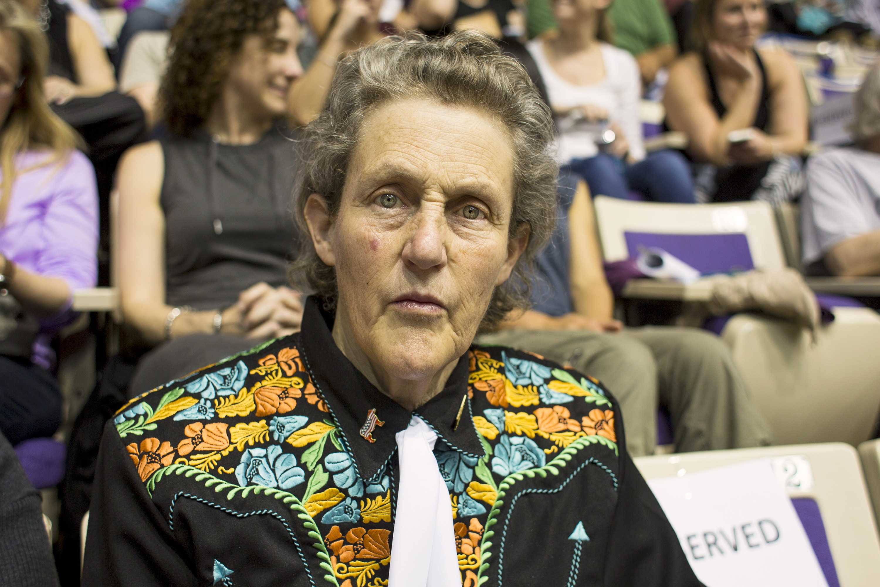 How Temple Grandin's autism gave her a 'cow's-eye view' of the world ...