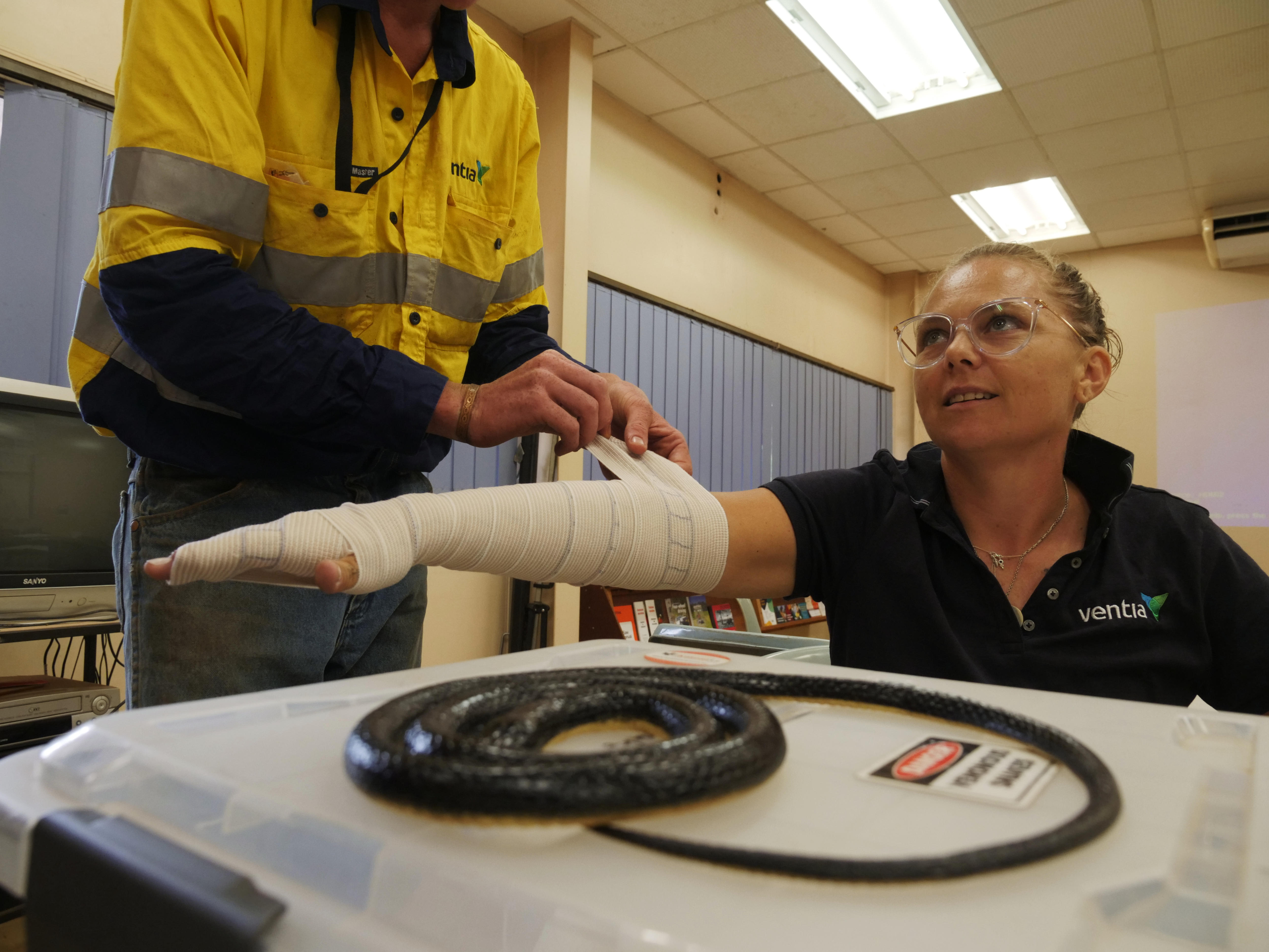 First NT TAFE course in snake catching aims to protect people and ...