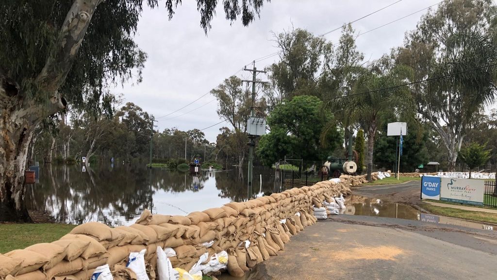 Major flood warning for communities on the Murray River - ABC News