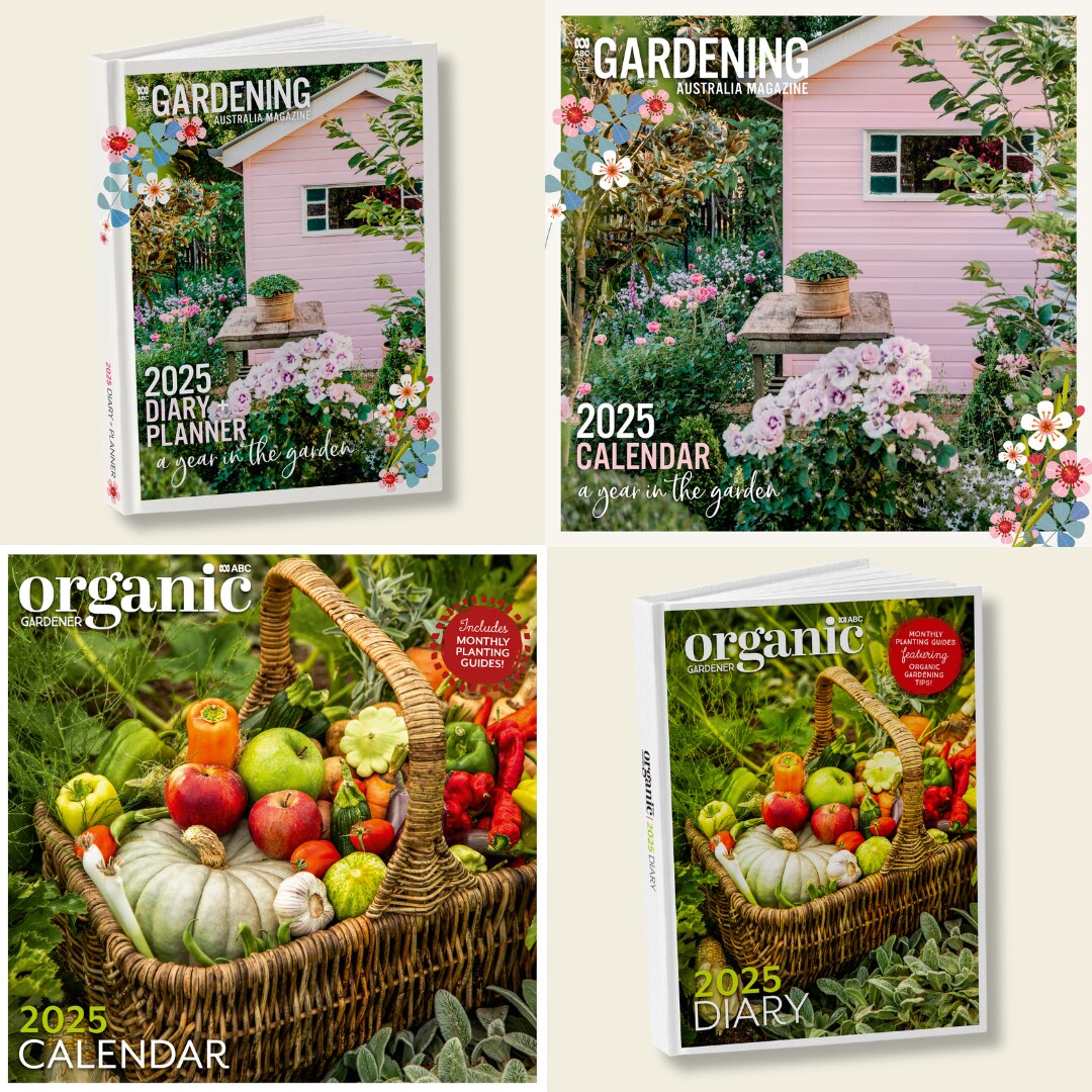 ABC Shop - ABC Commercial - ABC Shop