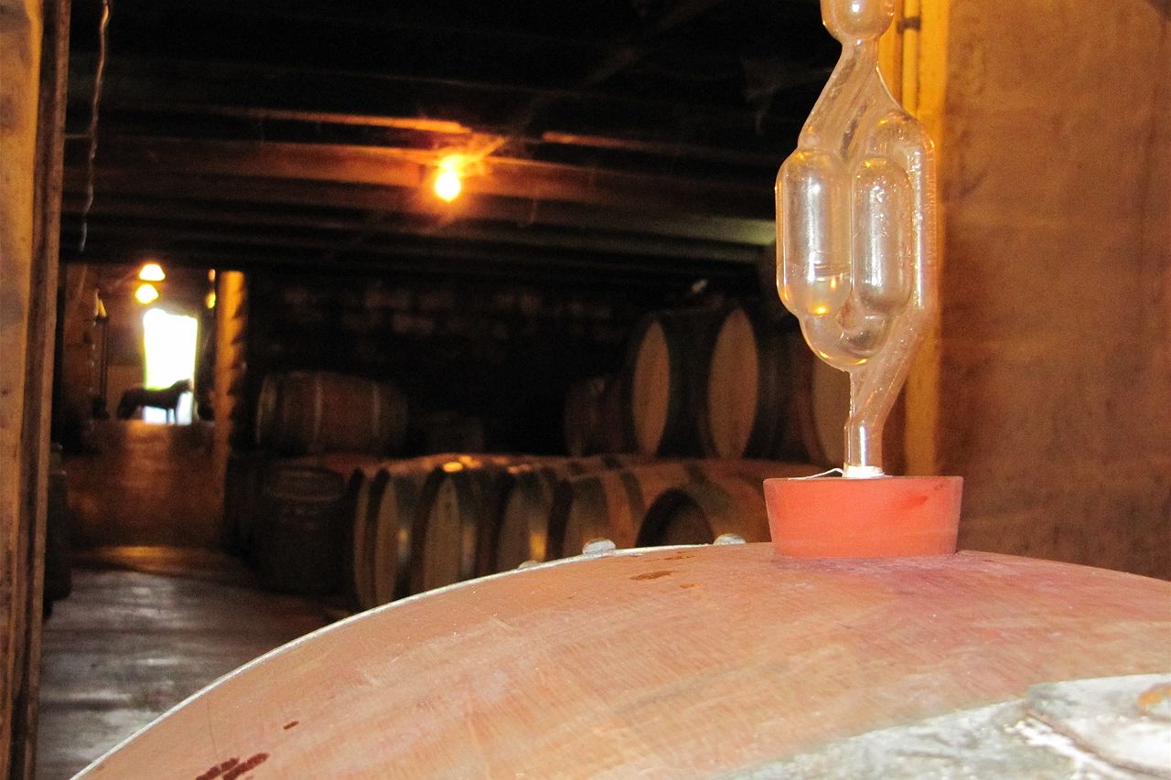 Bottling Gold - ABC News