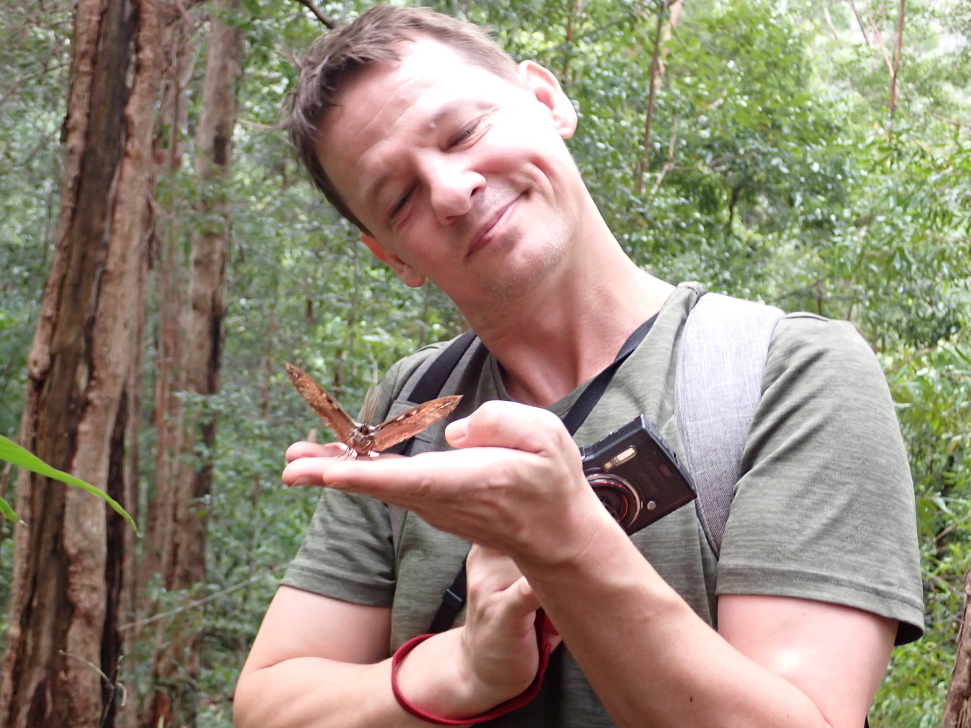 Citizen scientist 'stoked' to discover new species of mould in New ...