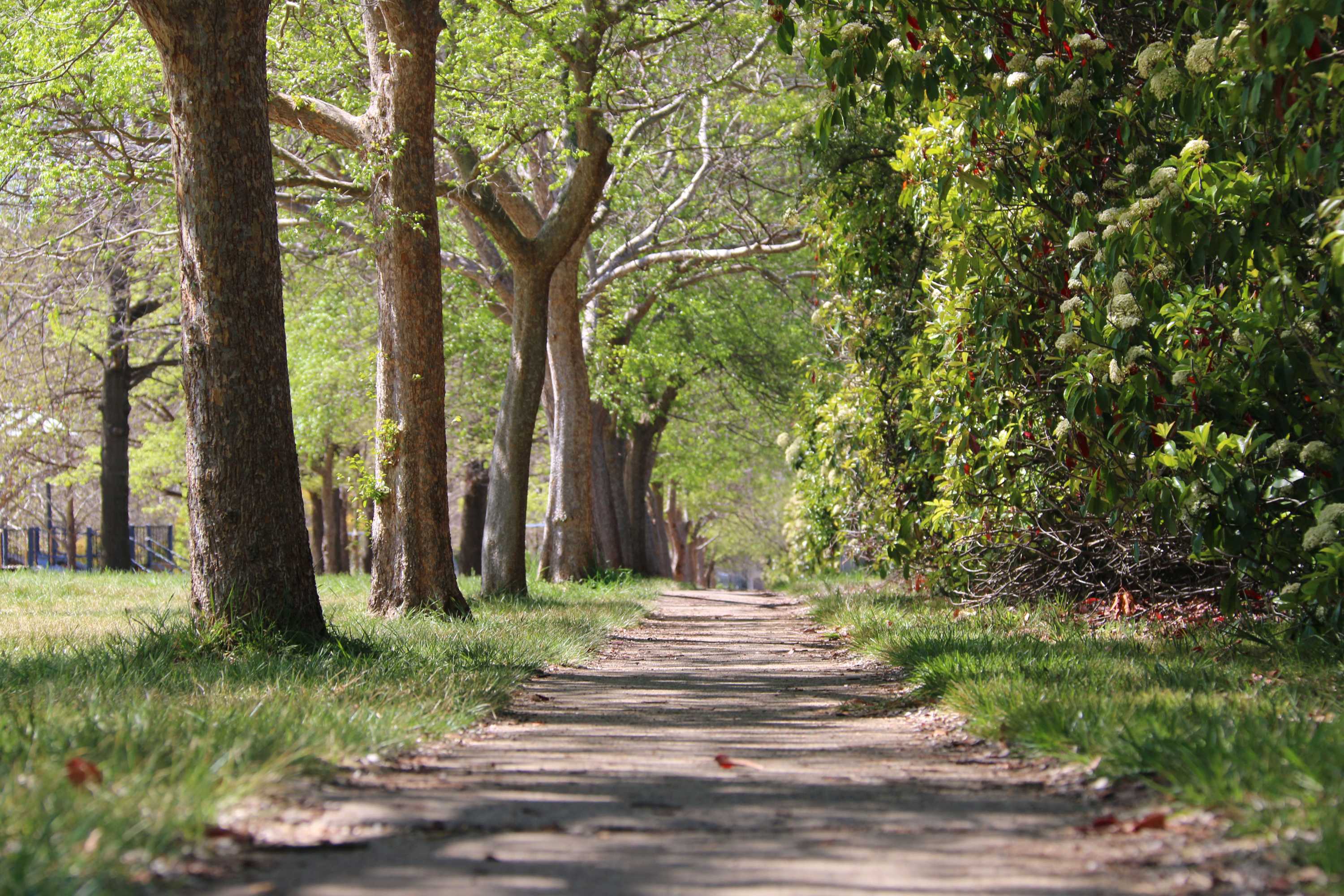 Sonya Gee - ABC News