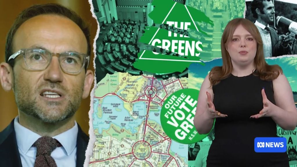 Government and Politics - Topic - ABC News