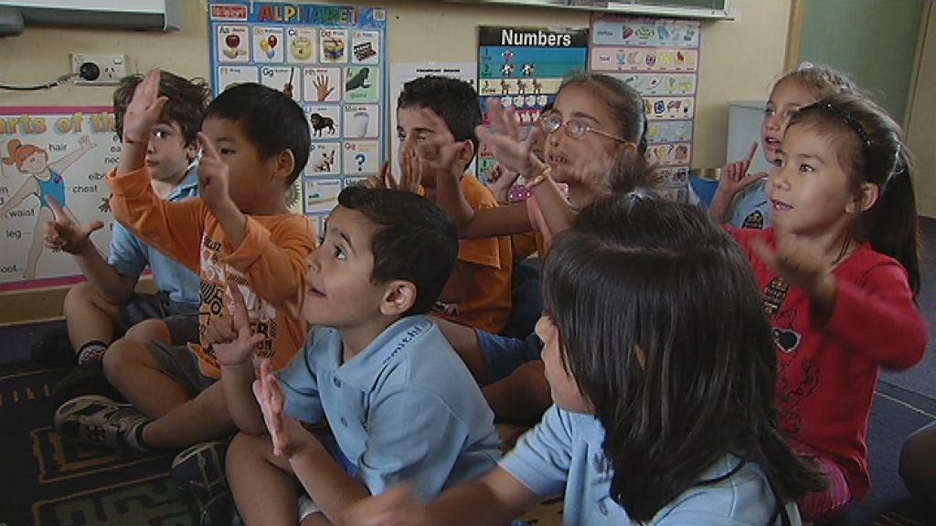 Refugee children could miss out on English language training - ABC News
