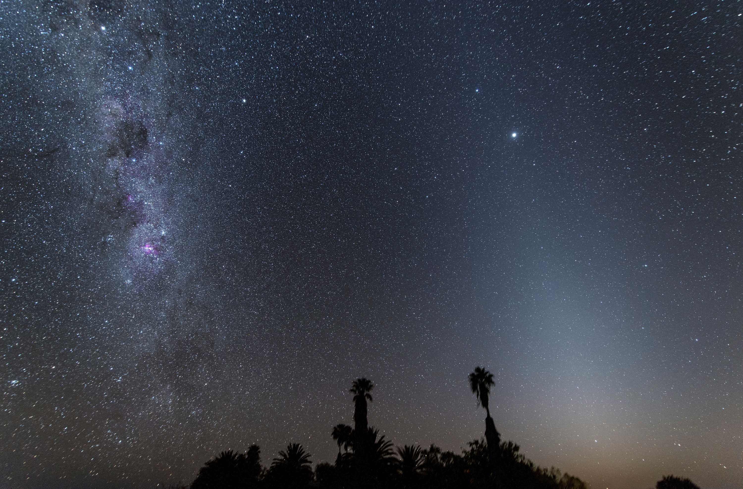 The many worlds of David Lewis - ABC listen
