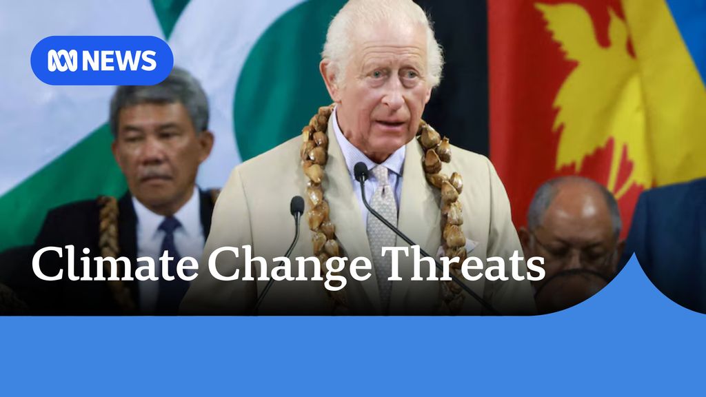 Top stories from ABC News - ABC News