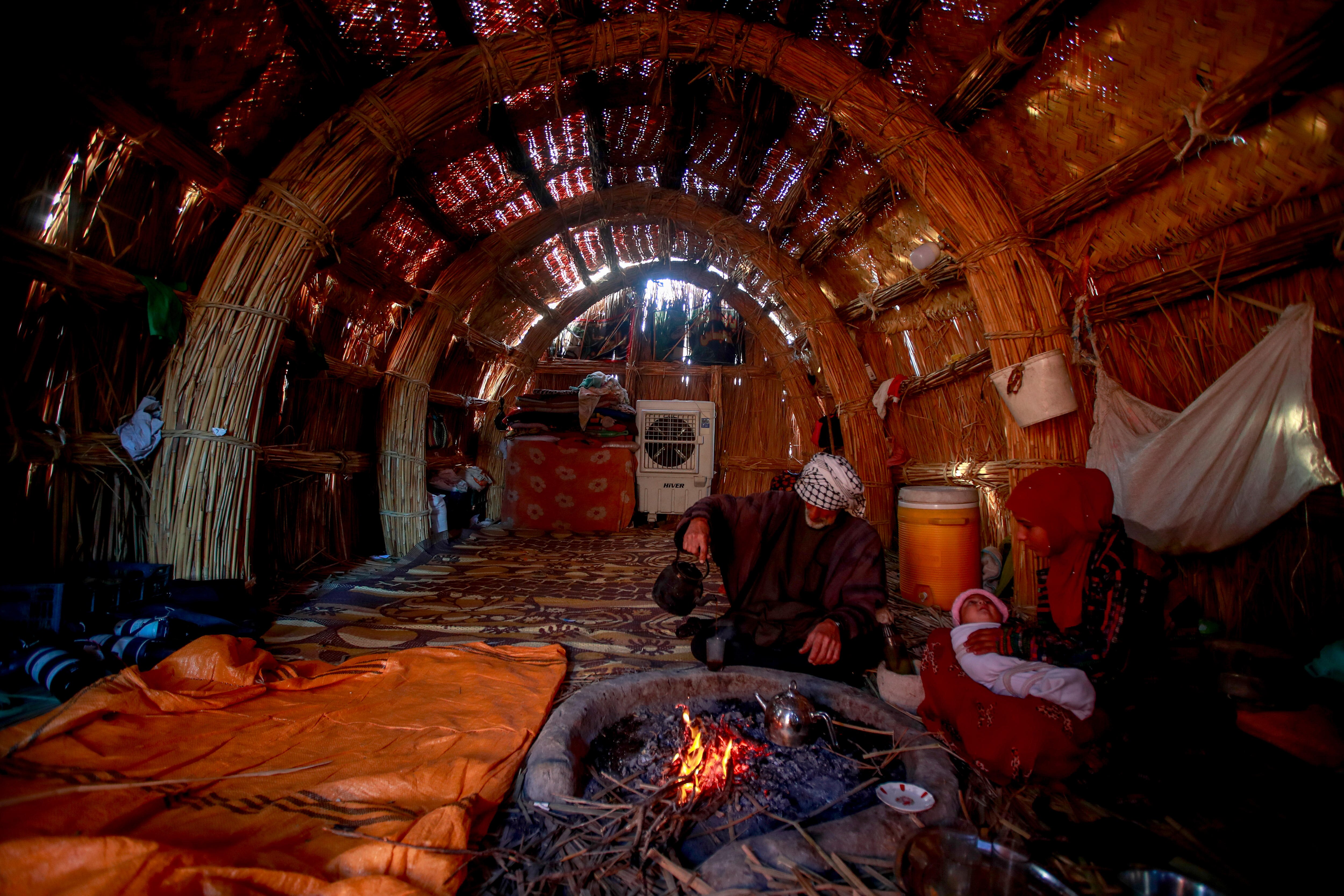 Salt and drought killing buffaloes in Iraq's southern marshes - ABC News