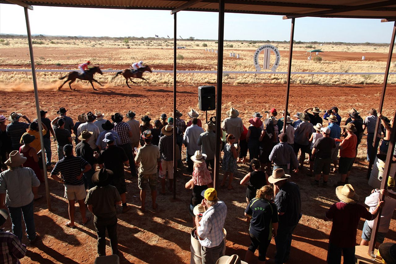 A very bush race - ABC News