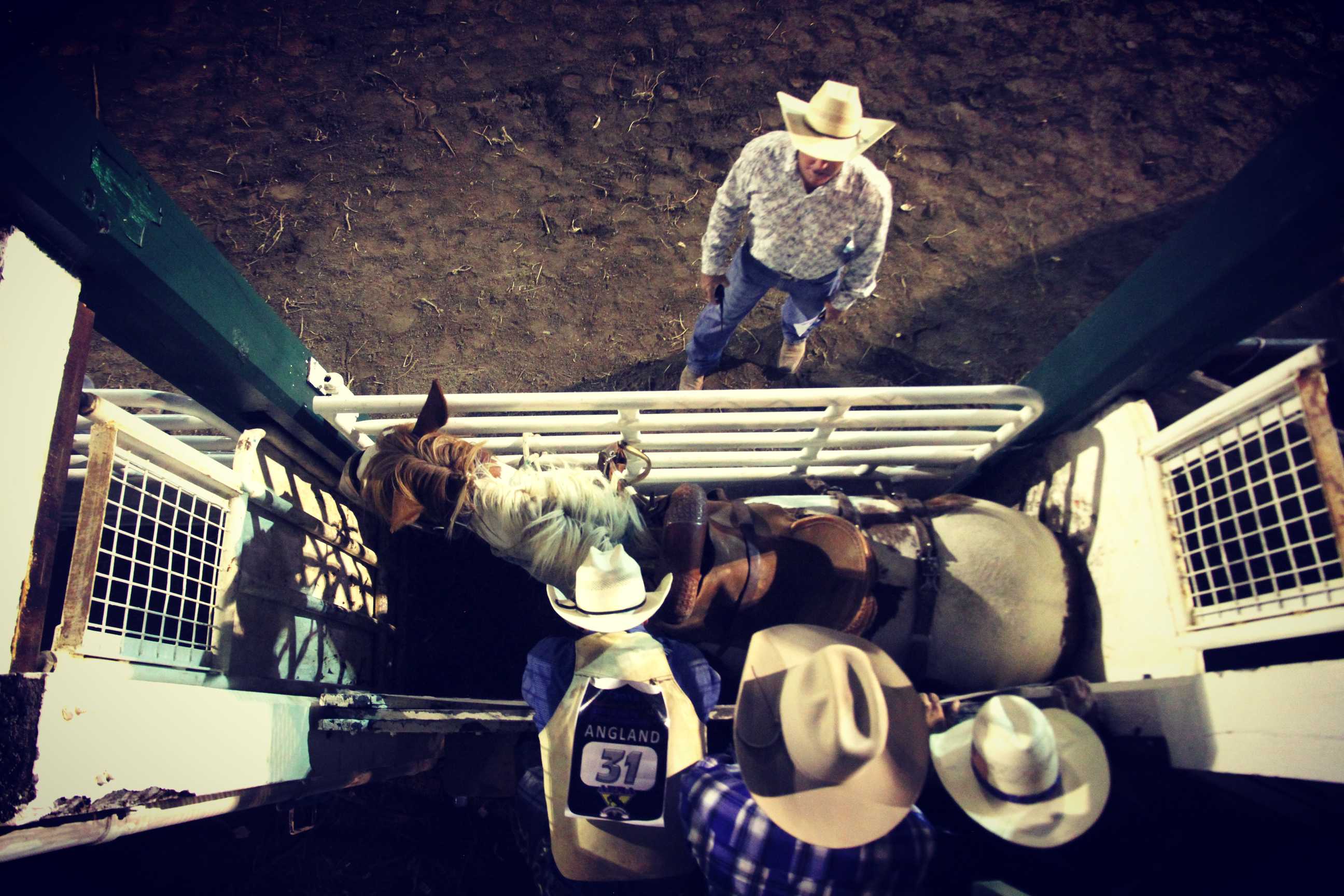 360° video: Immerse yourself in the life of a bronc rider - ABC News