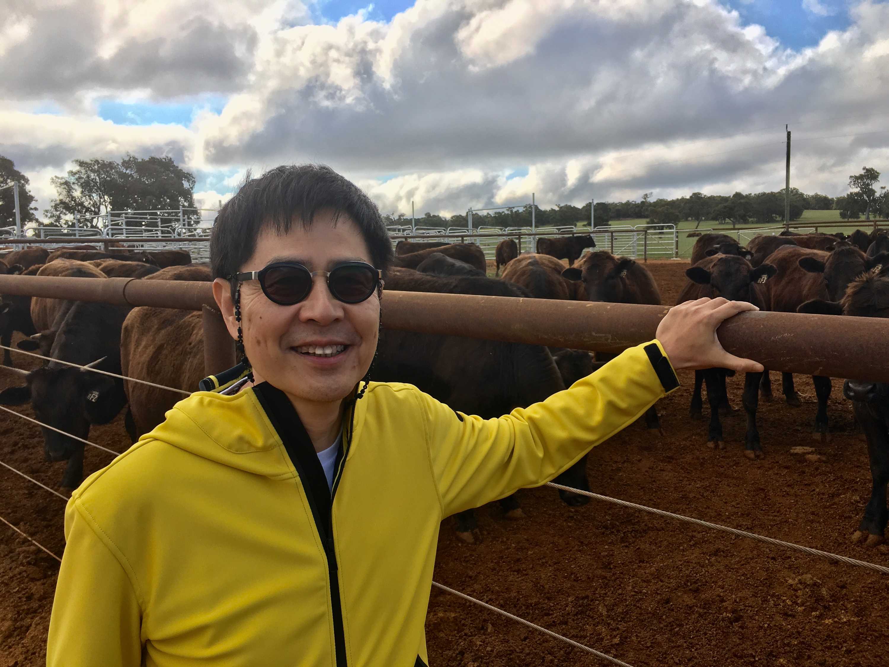 Billion dollar wagyu plan for Pilbara - ABC News
