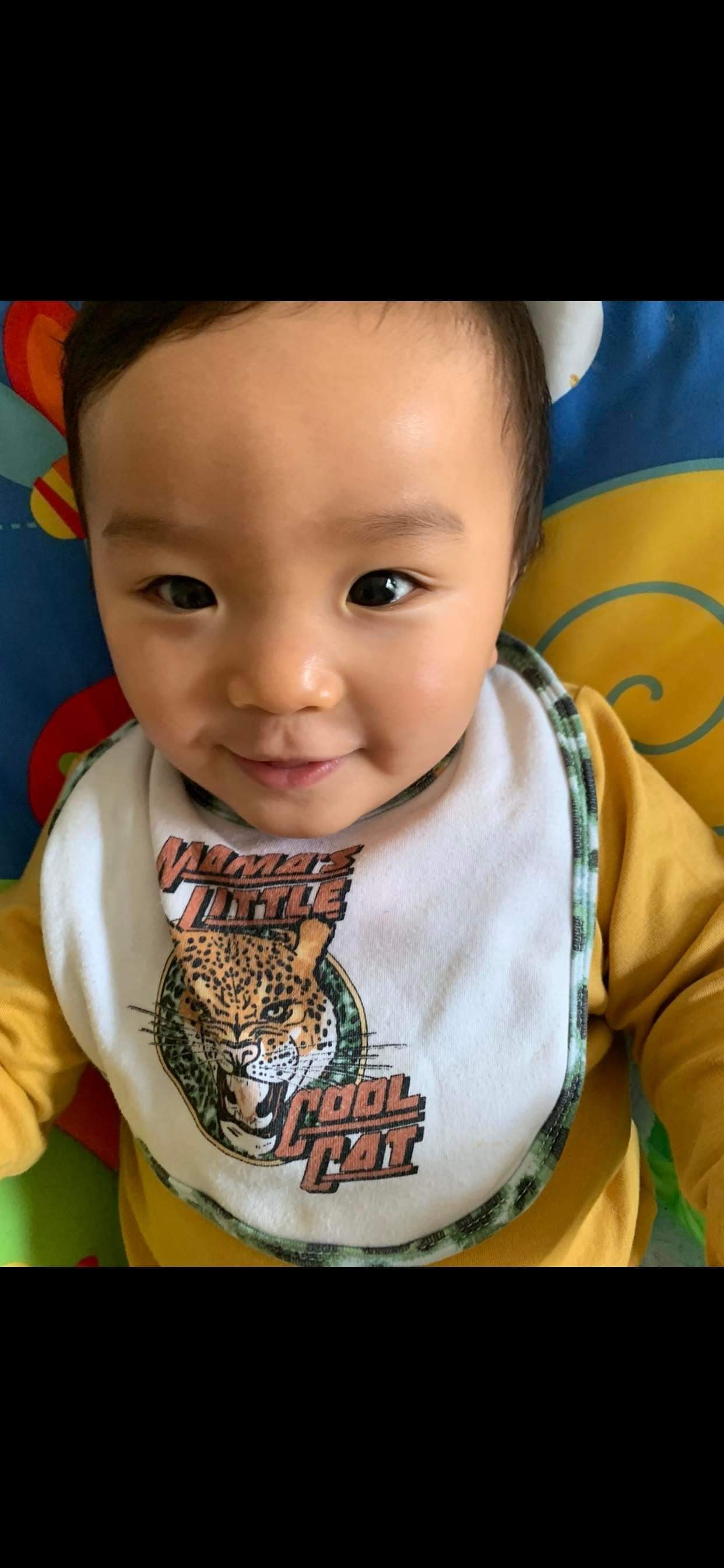 Police fear for welfare of baby Hoang Vinh Le who parents claim was ...