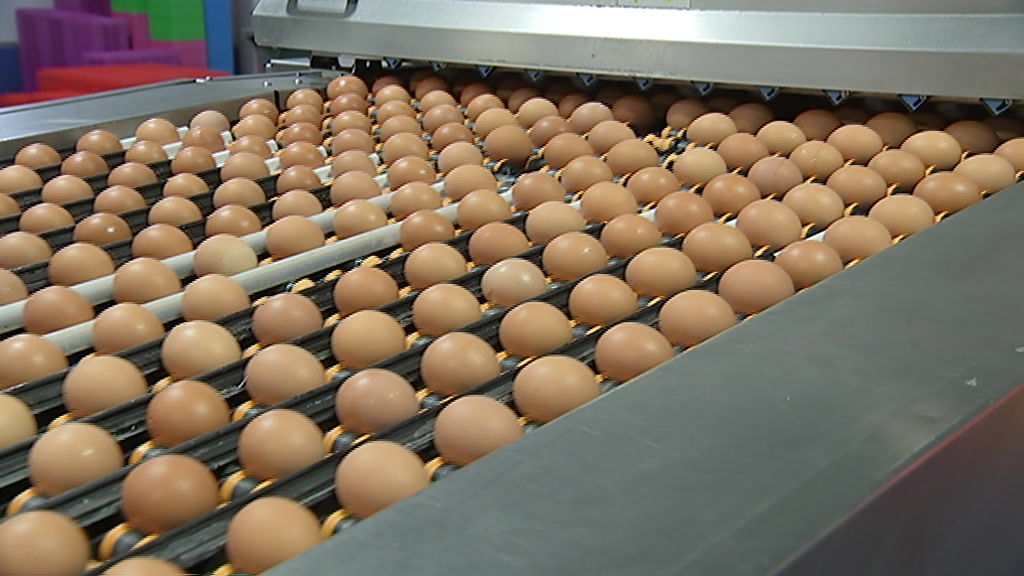 Future Proofing: from farm to food processing - ABC News