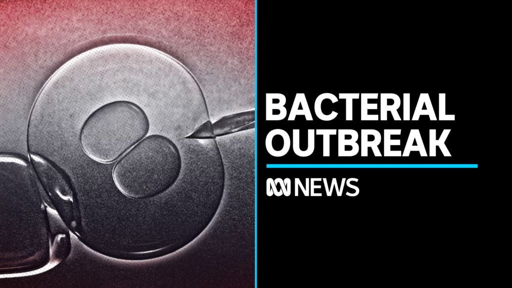 Embryos destroyed after bacterial outbreak in Sydney lab - ABC News