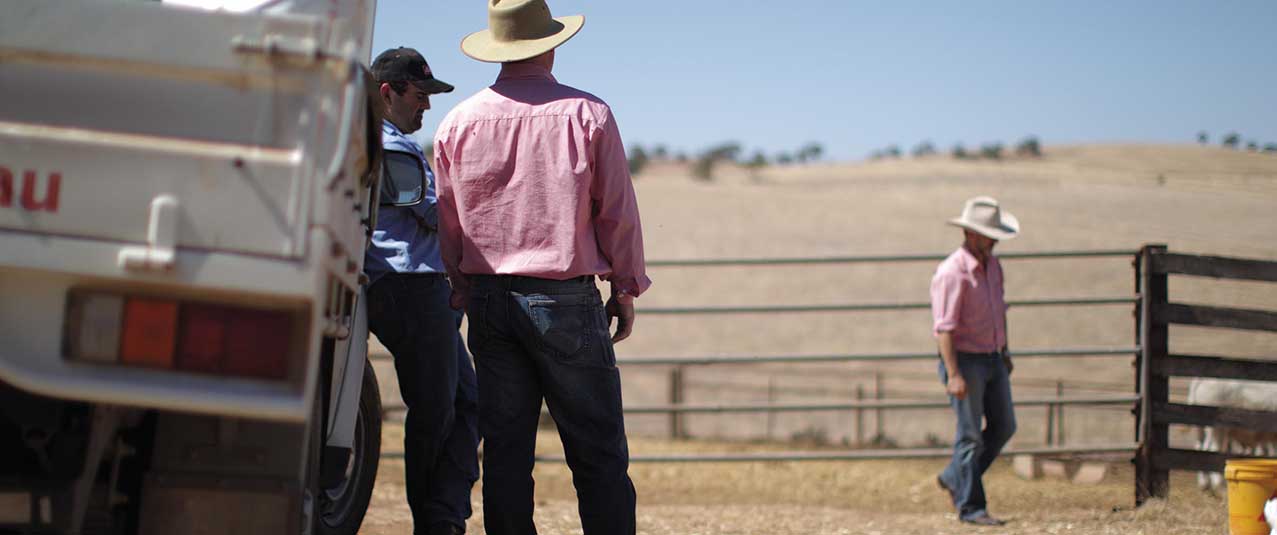 Elders celebrates 175 years - ABC Radio National