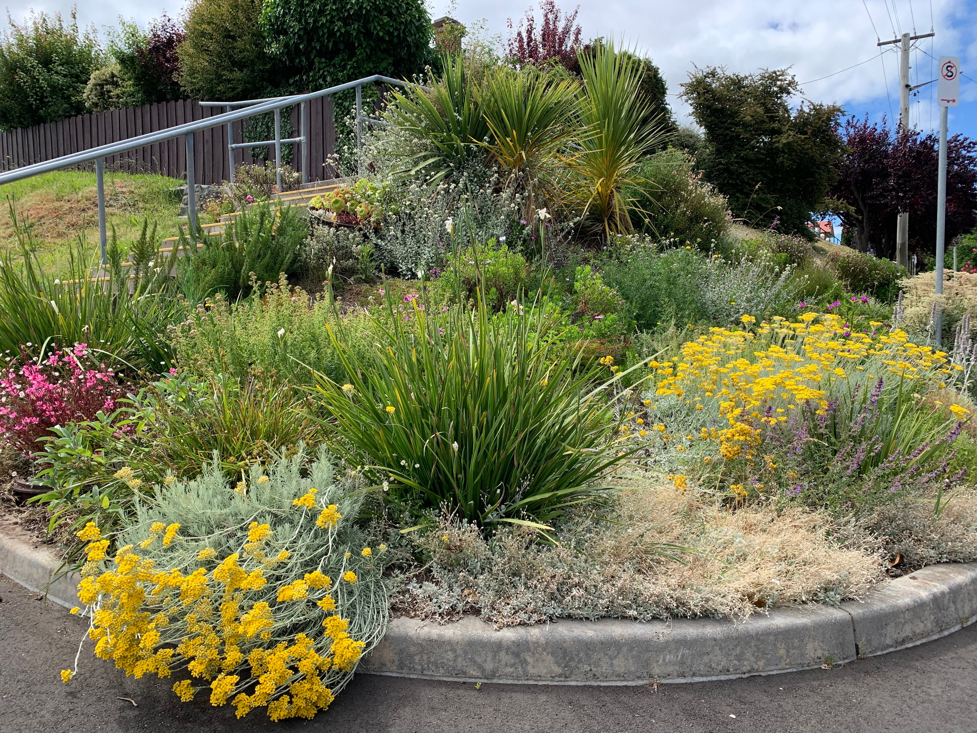 Hobart council changing rules for nature strips but strict rules to be ...