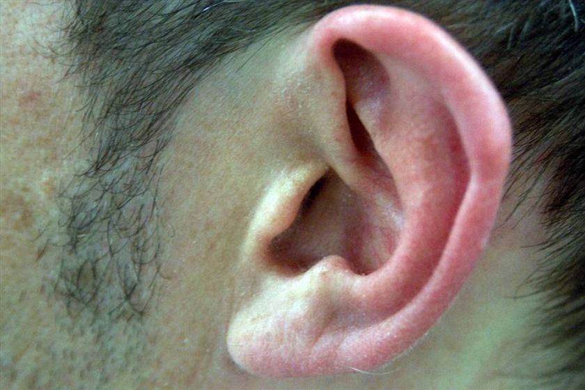 Emotions in voice linked to pitch - ABC listen