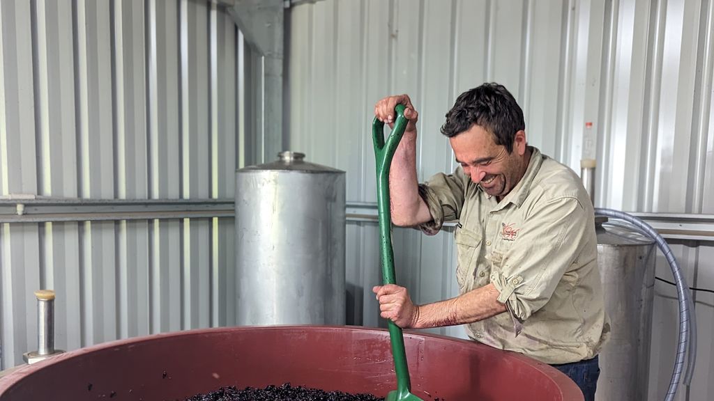 Grapegrower Adam Barich plays whole tones, a frequency-based music ...