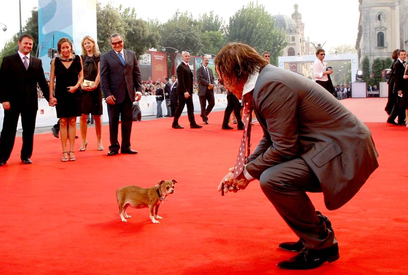 Rourke's beloved chihuahua dies - ABC News