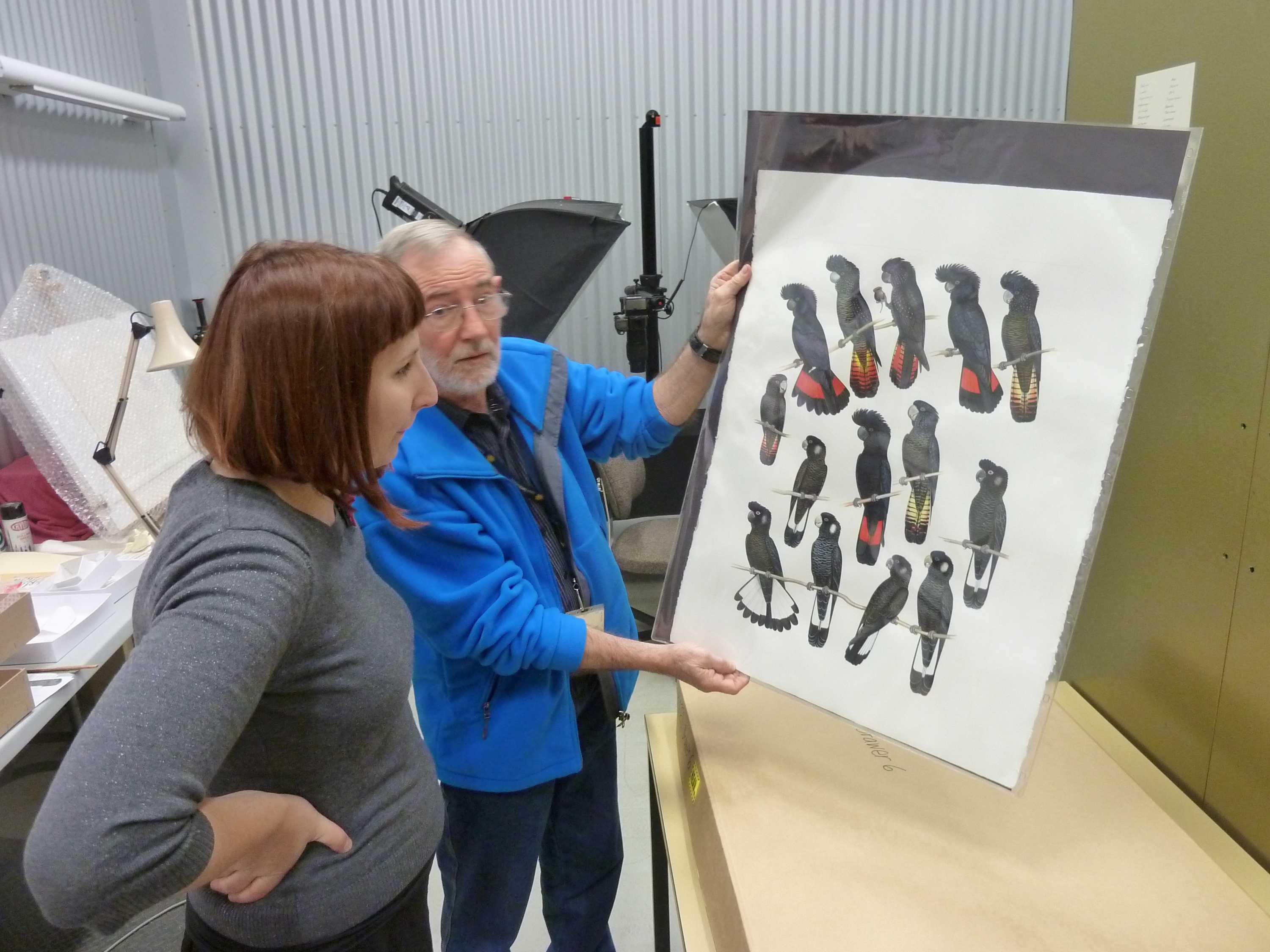 A day in the life of a museum taxonomist - ABC listen