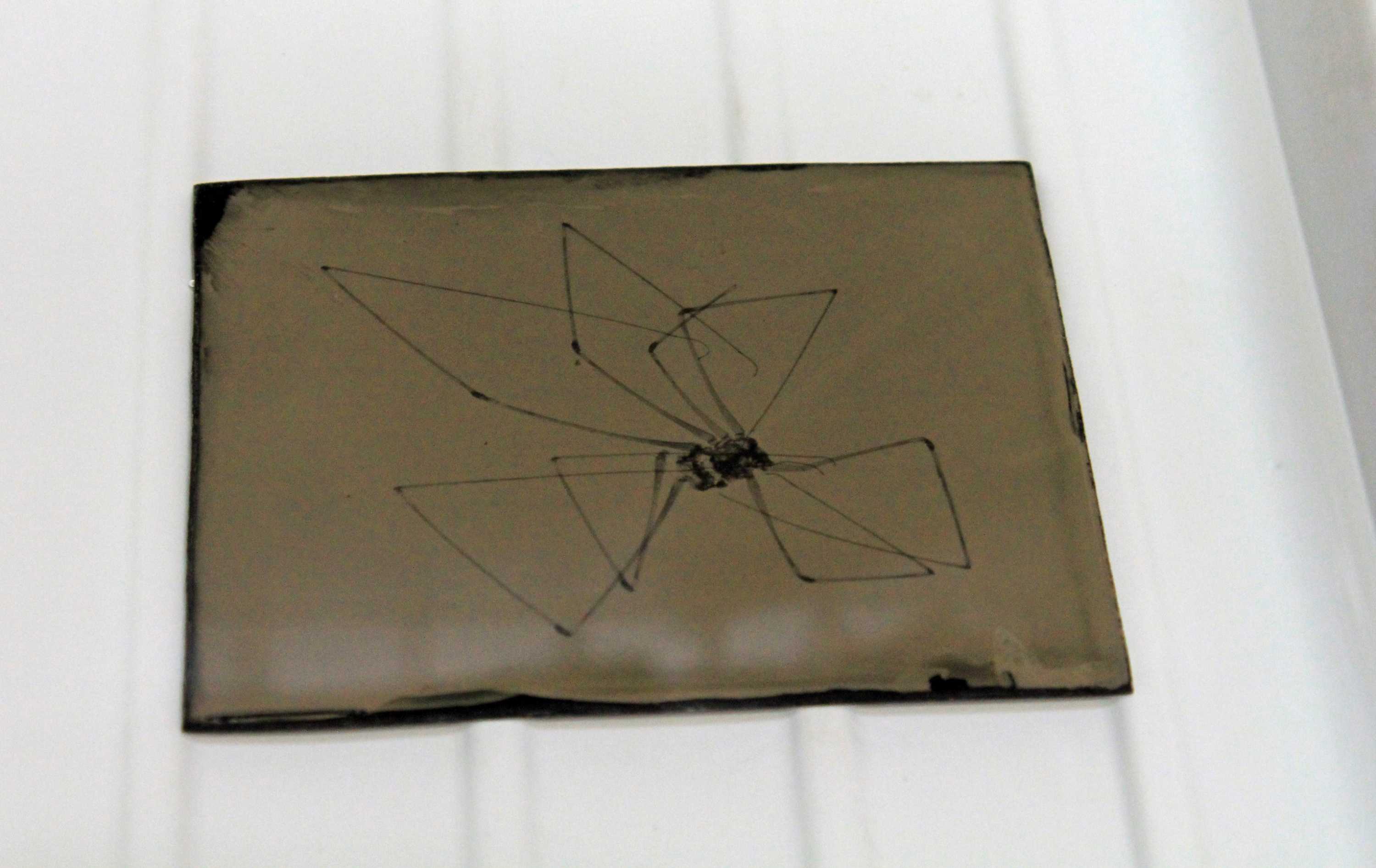 Taking a photo using the collodion process - ABC News