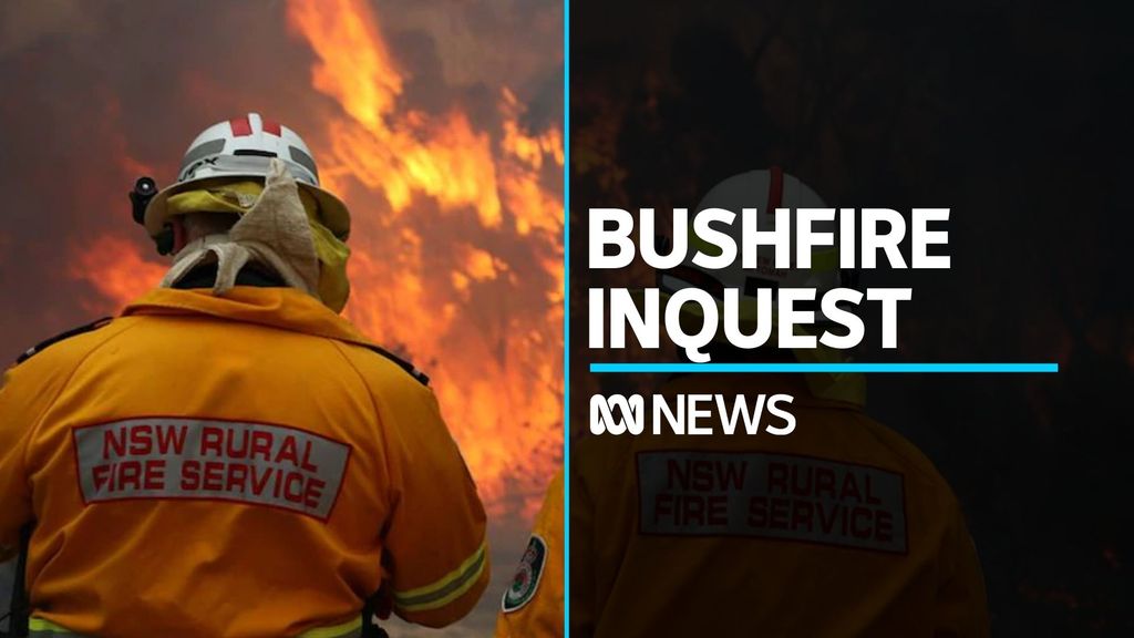 Inquest hears log piles added to fuel load of deadly fire - ABC News