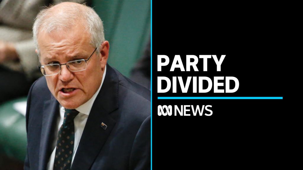 Liberal National Party of Queensland - Topic - ABC News