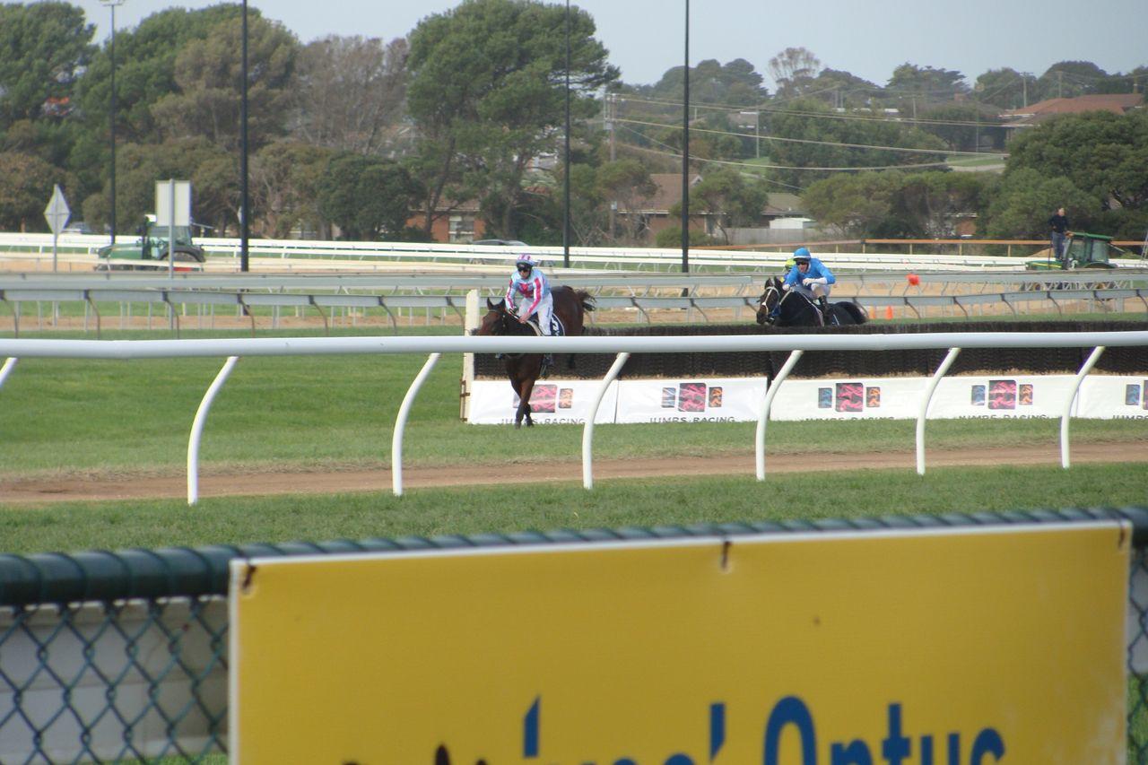 Jumps racing fall from grace - ABC News