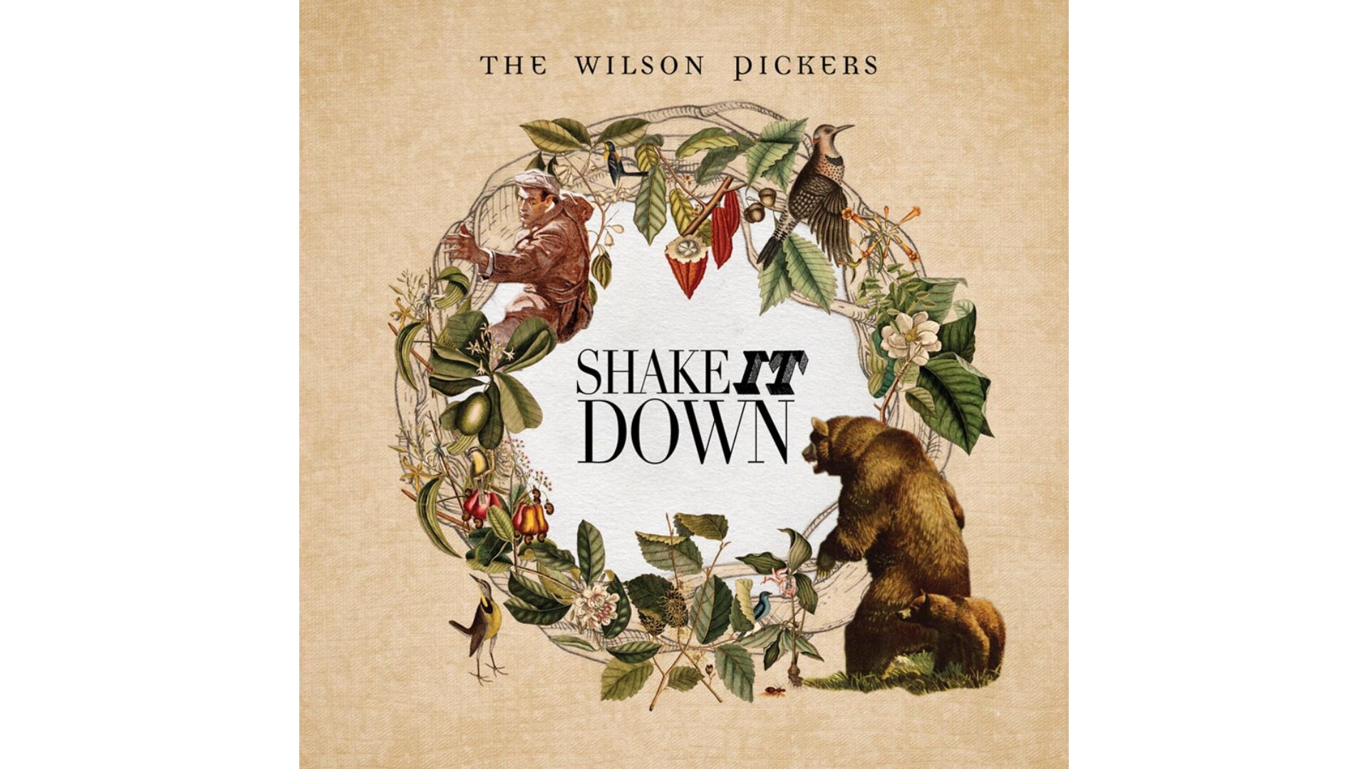 The Wilson Pickers - Shake It Down - ABC Music