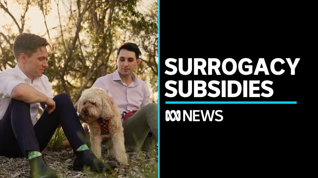 Surrogacy - Topic - ABC News